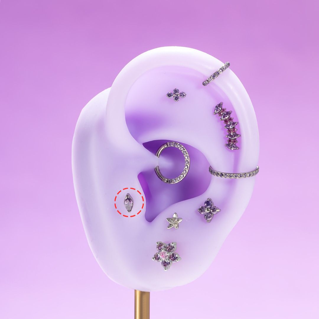 10 Must Try Tragus Piercing Jewelry – EricaJewels